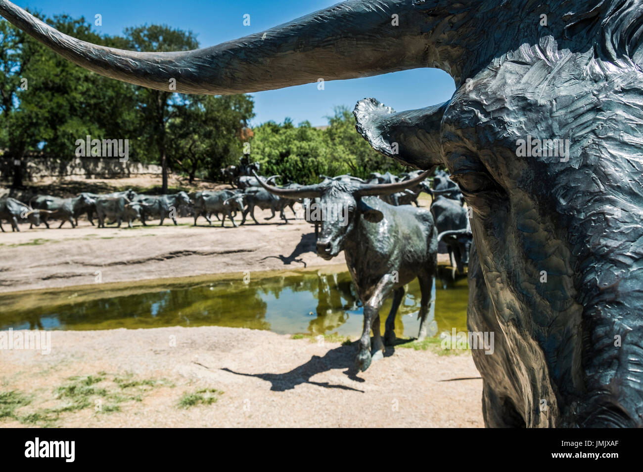 A life size cattle drive in bronze in Pioneer Park and Cemetery in ...