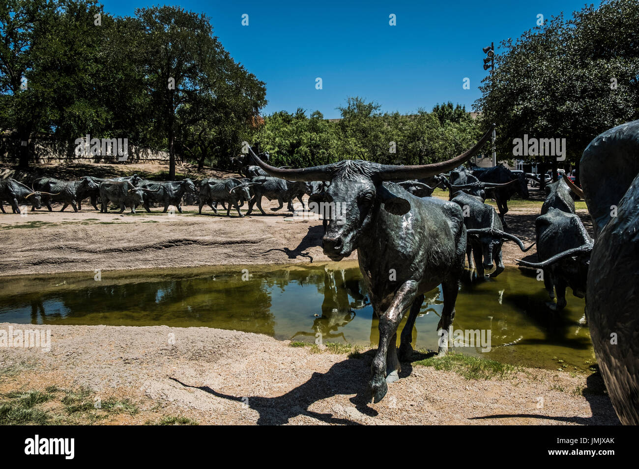 A life size cattle drive in bronze in Pioneer Park and Cemetery in ...