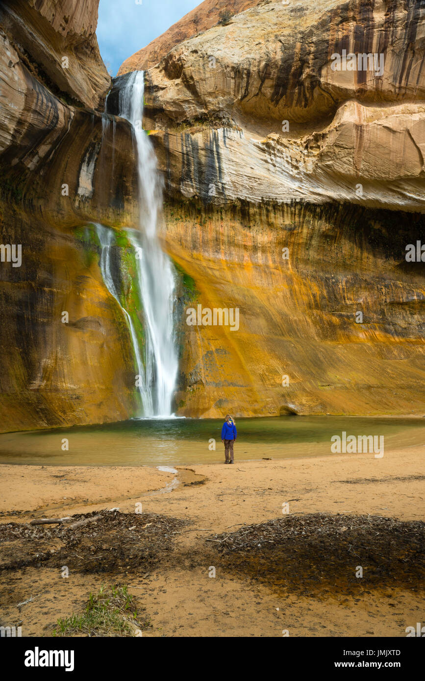 View of Lower Calf Creek Falls, an easy hike from a parking lot. Grand ...