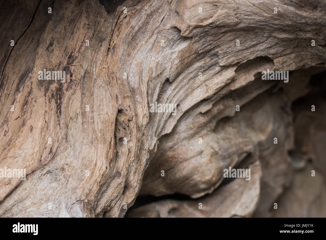Eroded wood texture Stock Photo - Alamy
