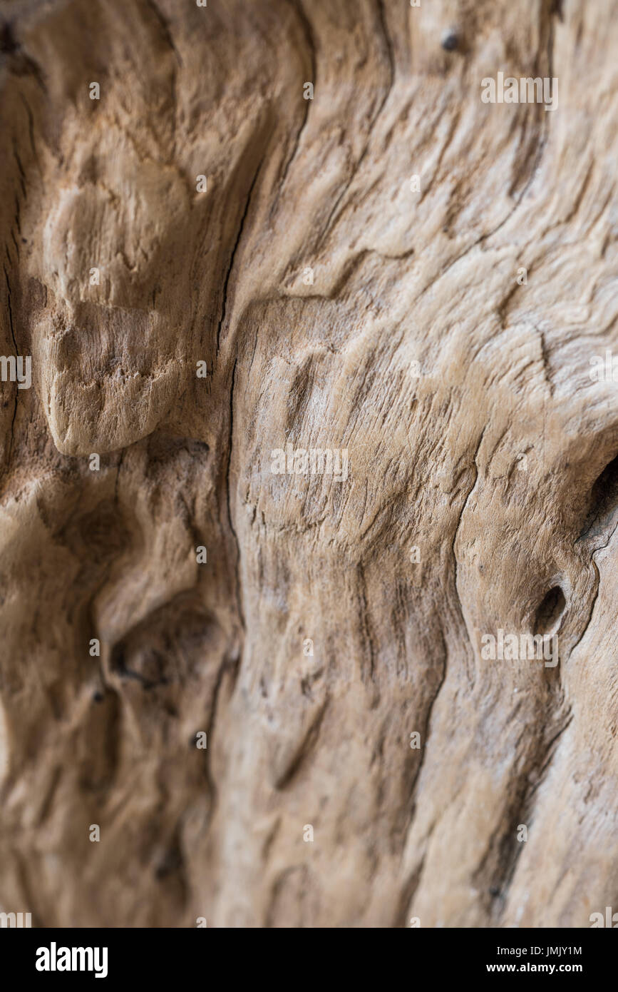 Eroded wood texture Stock Photo - Alamy