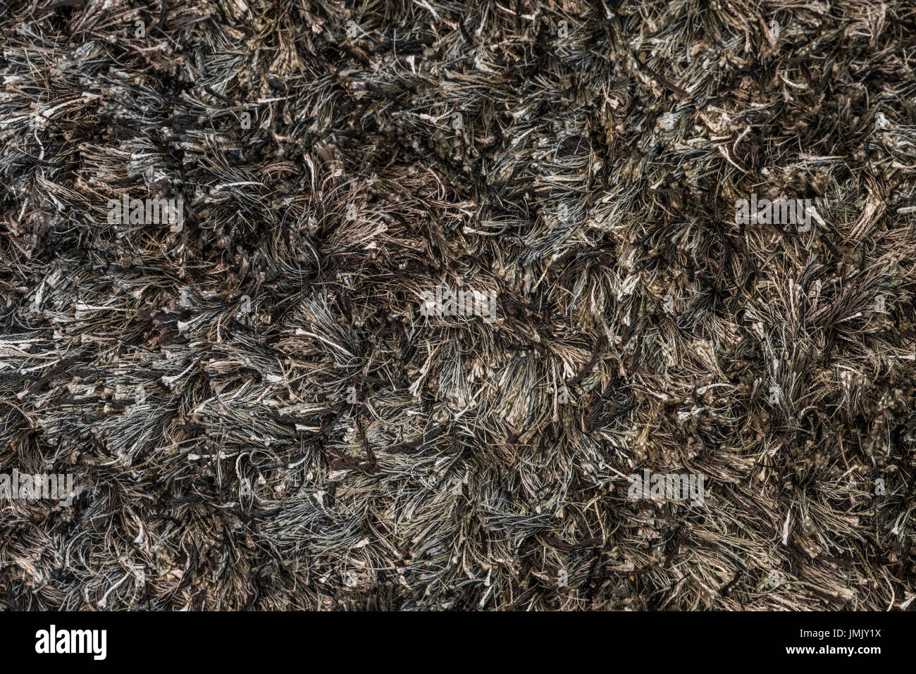 Shag rug hi-res stock photography and images - Alamy
