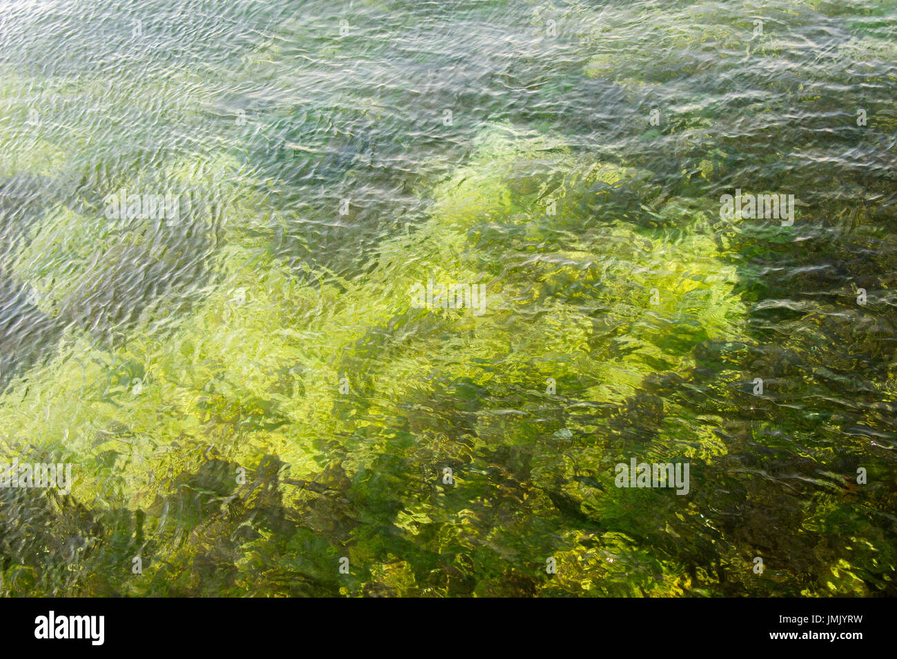 Balloons in shooting range as targets on water Stock Photo - Alamy