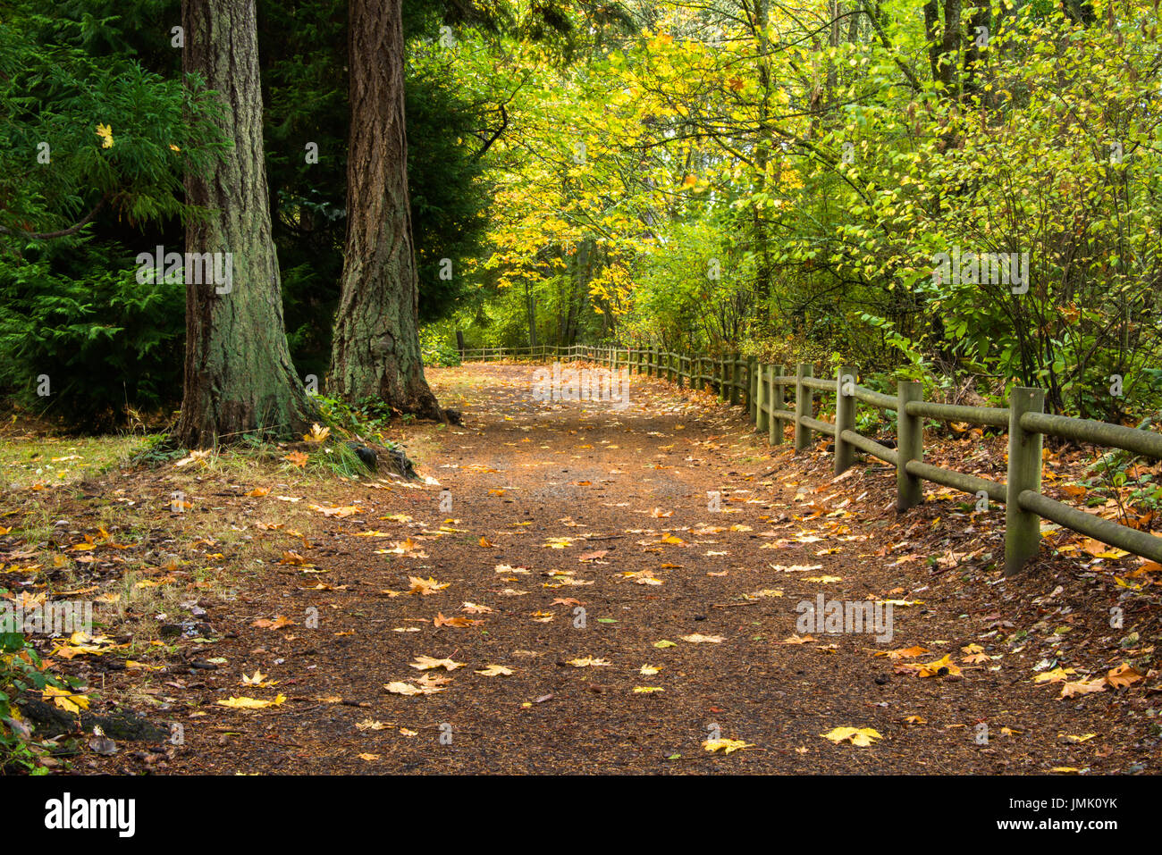 Hiking Trail in Forest Park in Autumn Stock Photo - Alamy