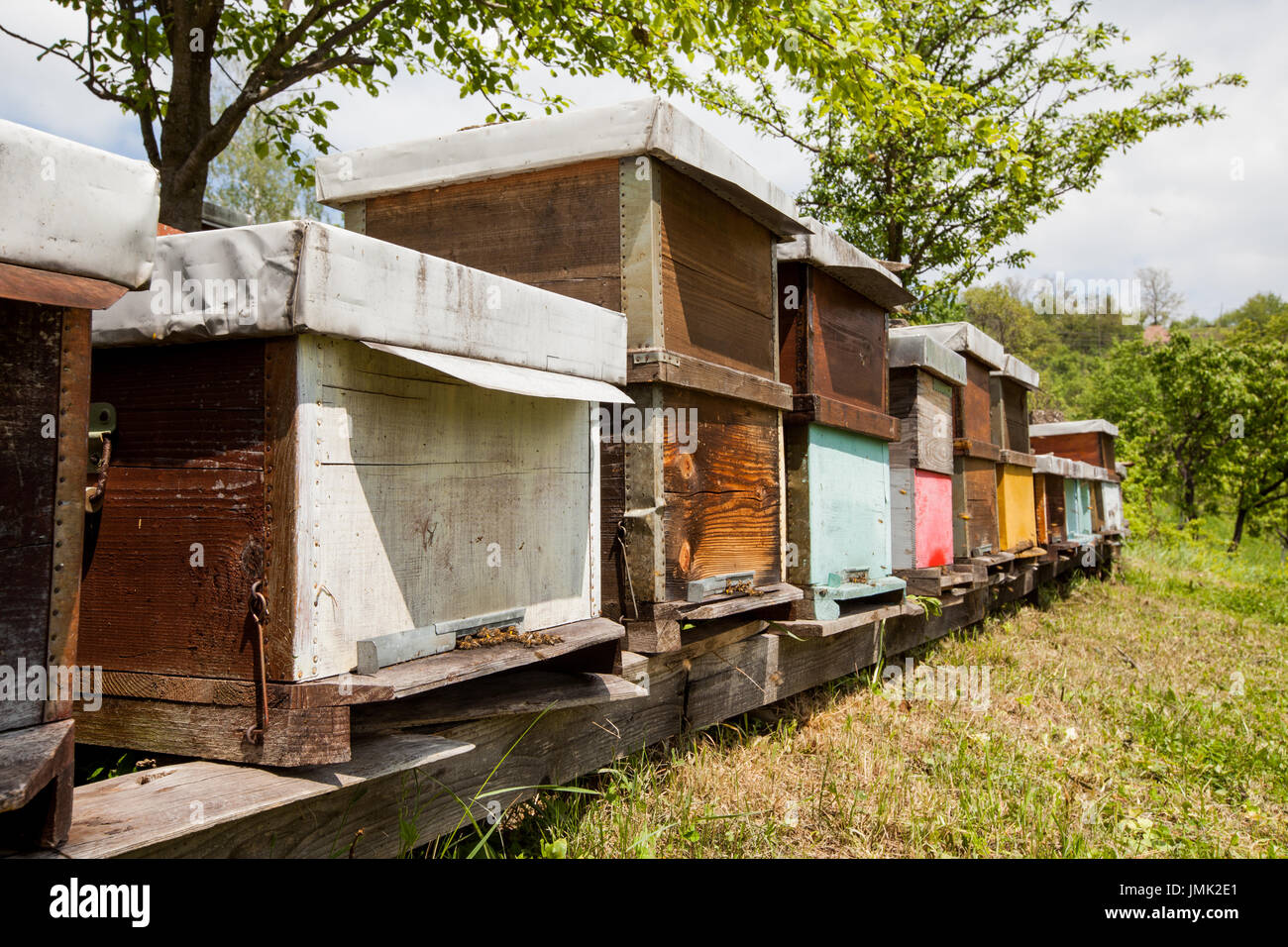 Hives in the apiary, bees ready for honey,spring season Stock Photo - Alamy
