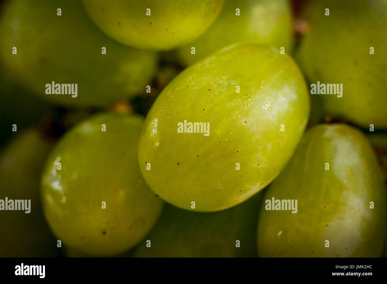 Closeup grapes hi-res stock photography and images - Alamy