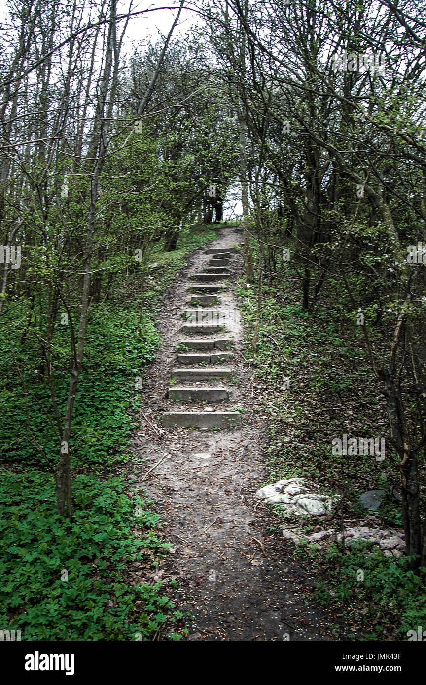 A green passage with stone slab stairs in the middle of a busy city ...