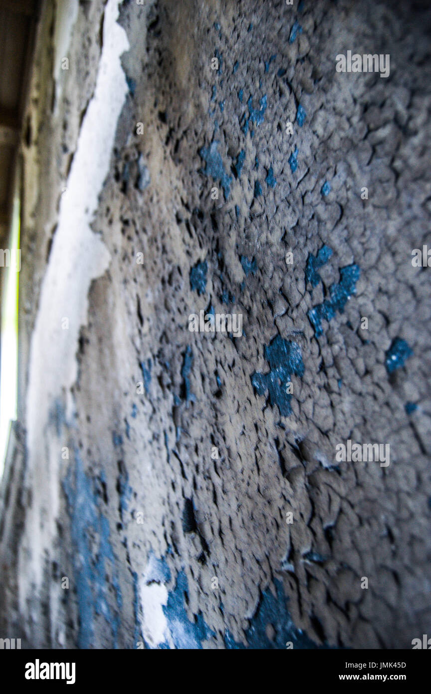 Decaying Wallpaper in Abandoned House, Close Up Stock Photo - Alamy