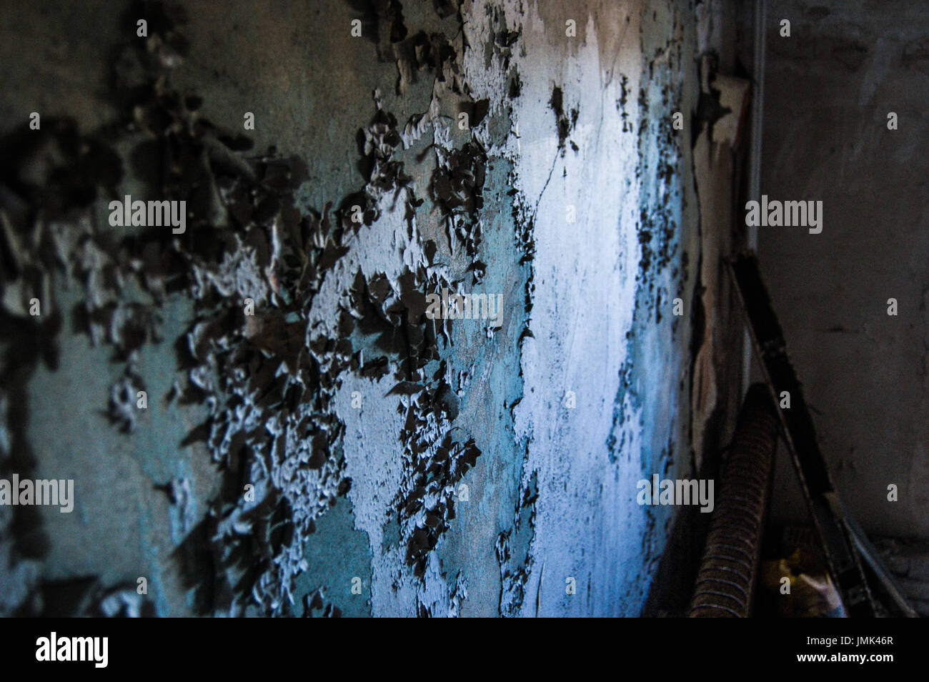 Decaying Wallpaper in Abandoned House, Close Up Stock Photo - Alamy