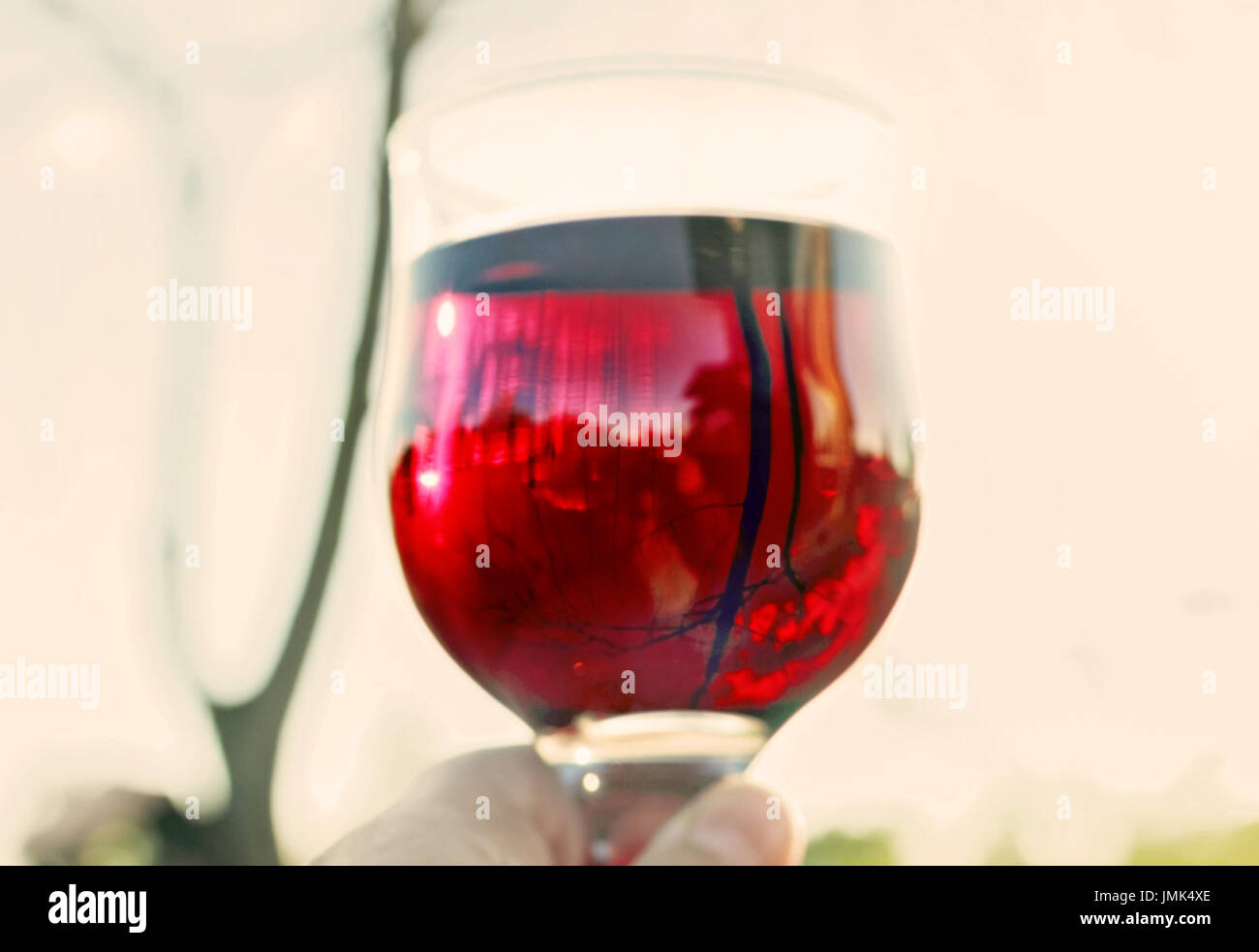 Glass of red wine in hand at day Stock Photo - Alamy