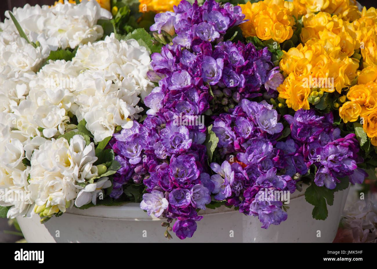Colorful blooming spring flowers in vase Stock Photo - Alamy