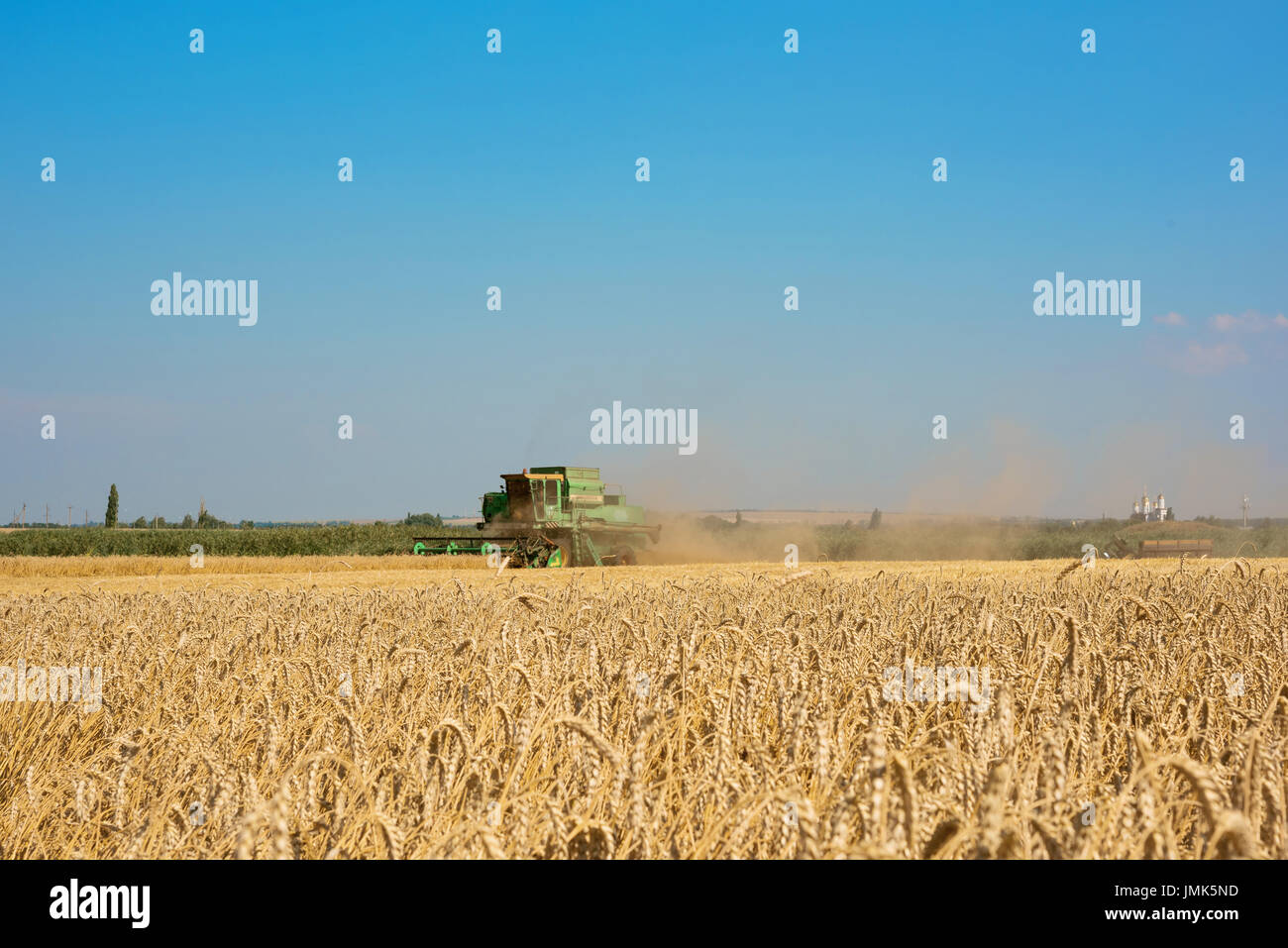 harvest in the field Stock Photo - Alamy