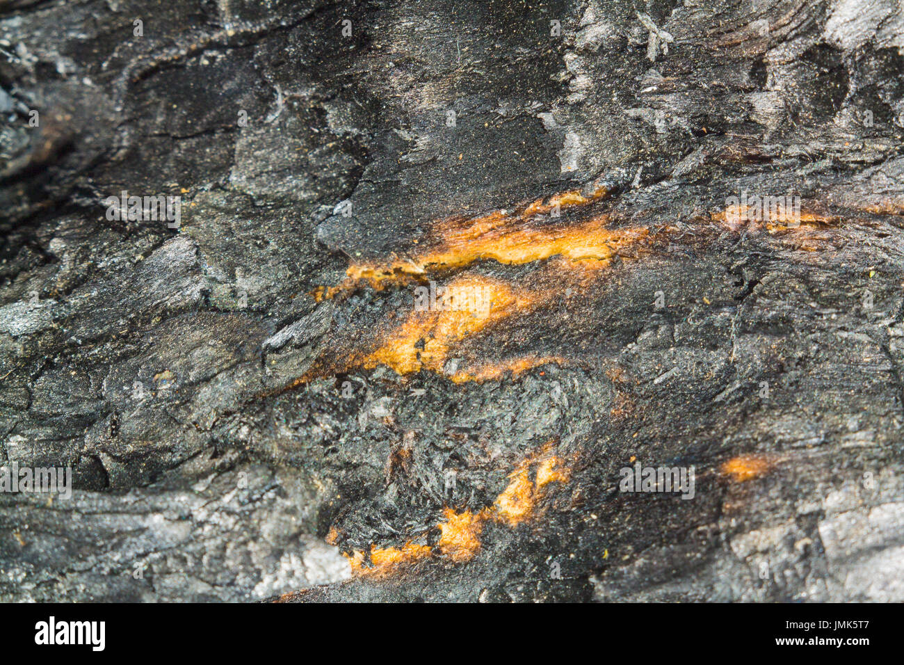 Texture of coal with the number three Stock Photo - Alamy