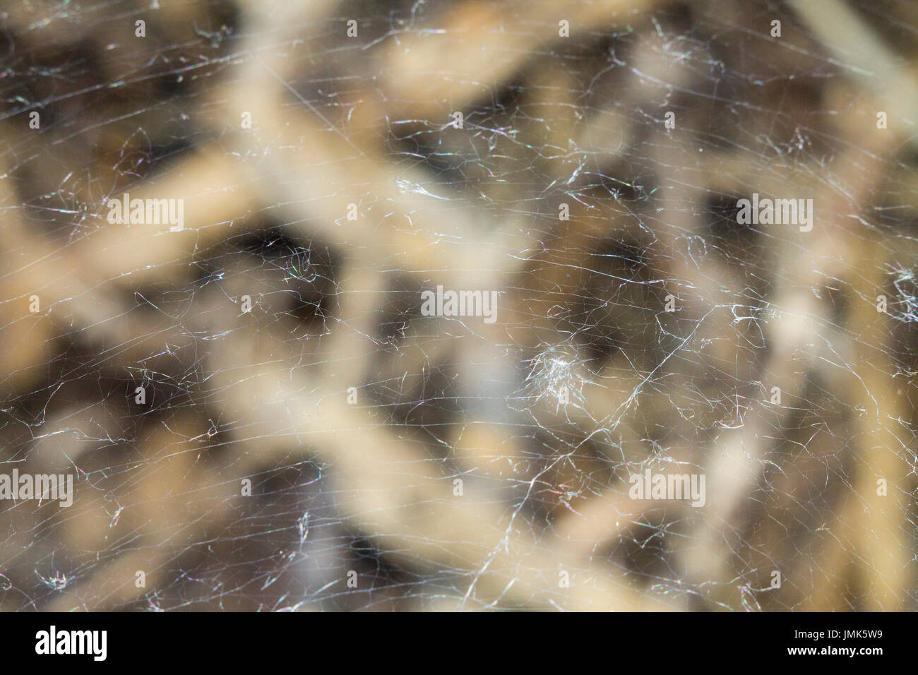 Web texture hi-res stock photography and images - Alamy