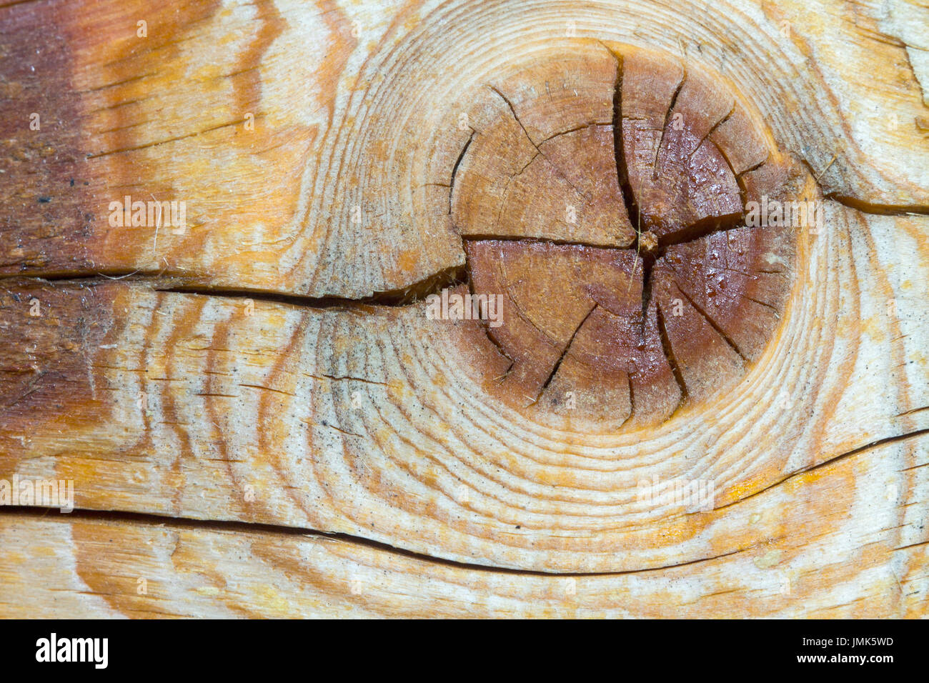 Texture of dry wood Stock Photo - Alamy
