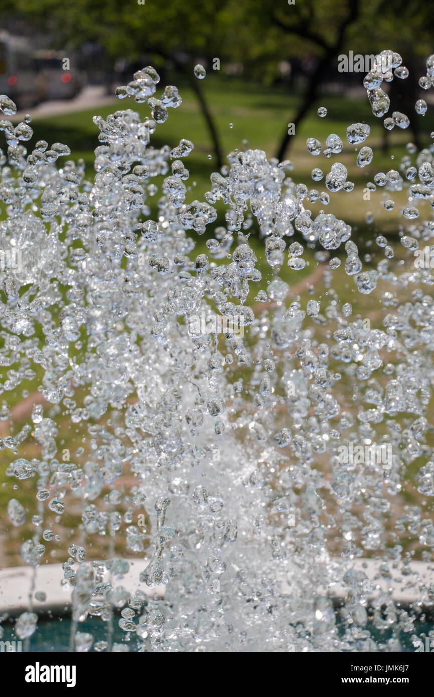 The fountains gushing sparkling water in a pool in a park Stock Photo ...