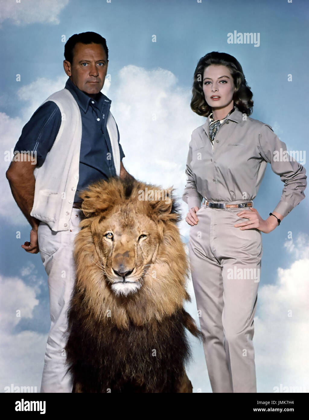 Capucine lion hi-res stock photography and images - Alamy