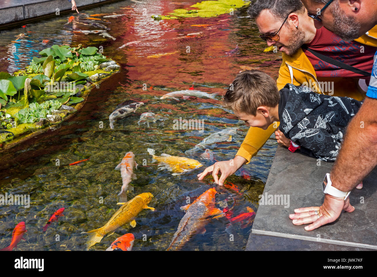 Child feeding fish pond hi-res stock photography and images - Alamy