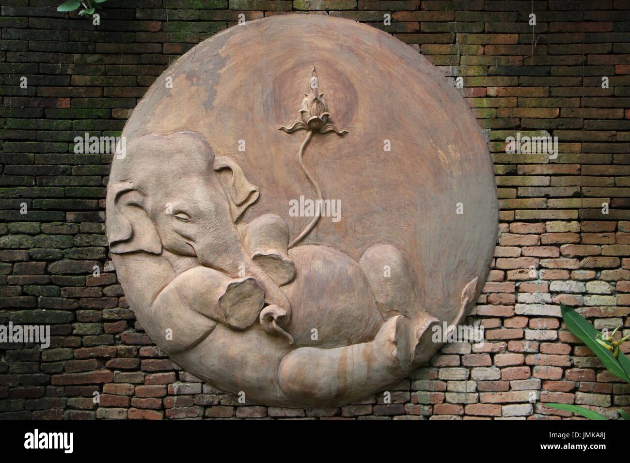 Elephant lotus hi-res stock photography and images - Alamy