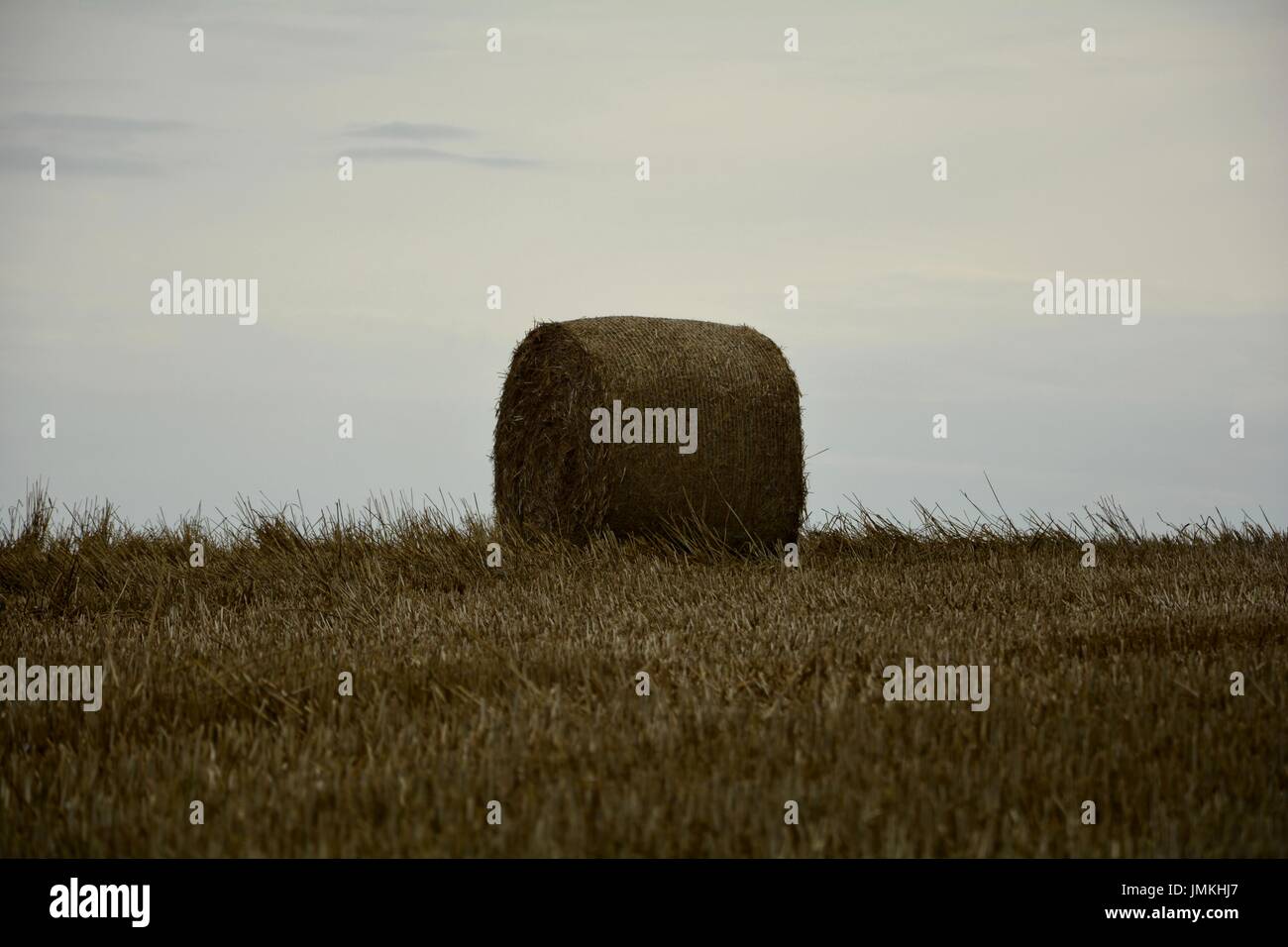 Hay stall hi-res stock photography and images - Alamy