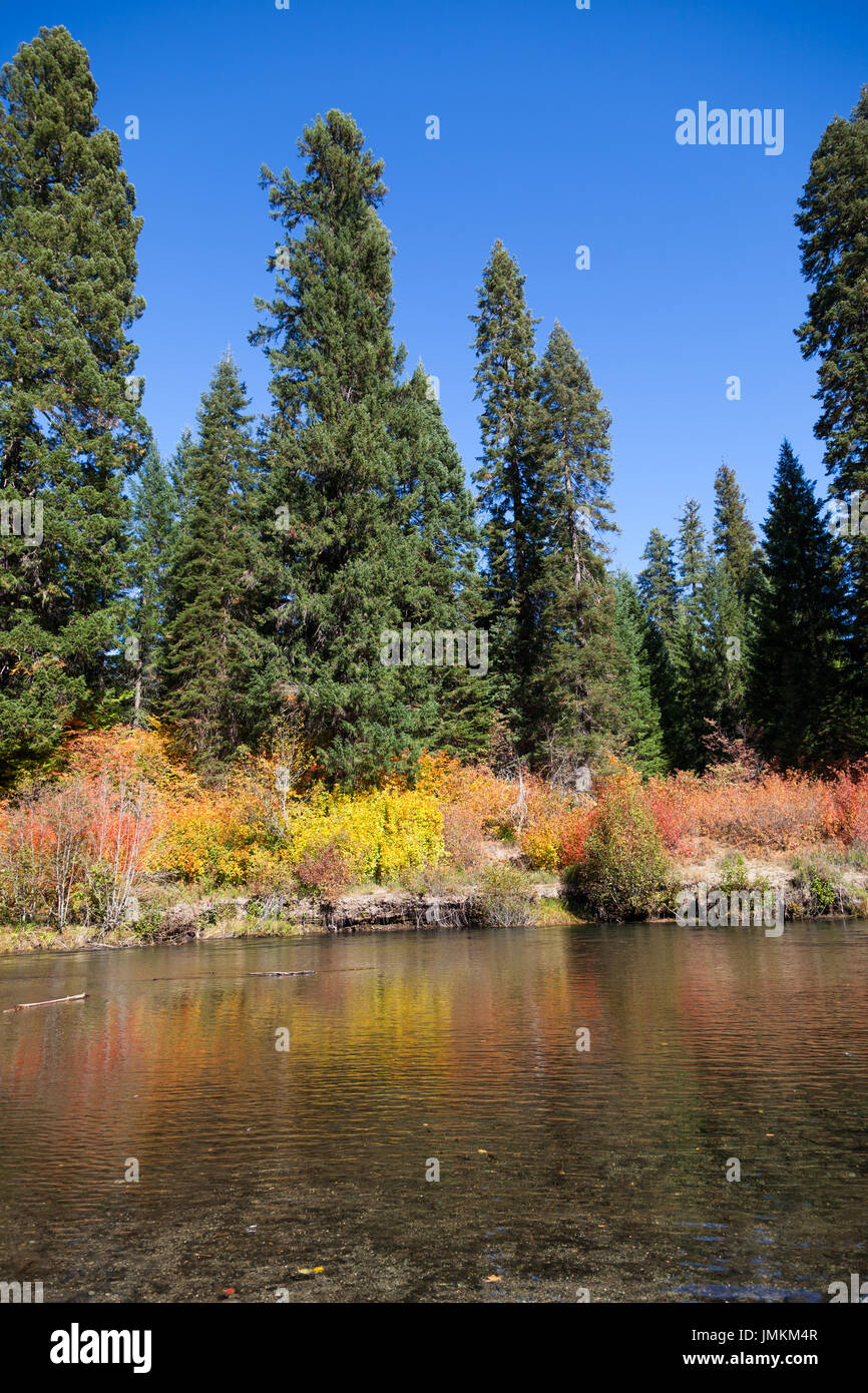 Trees lining riverbank hi-res stock photography and images - Alamy