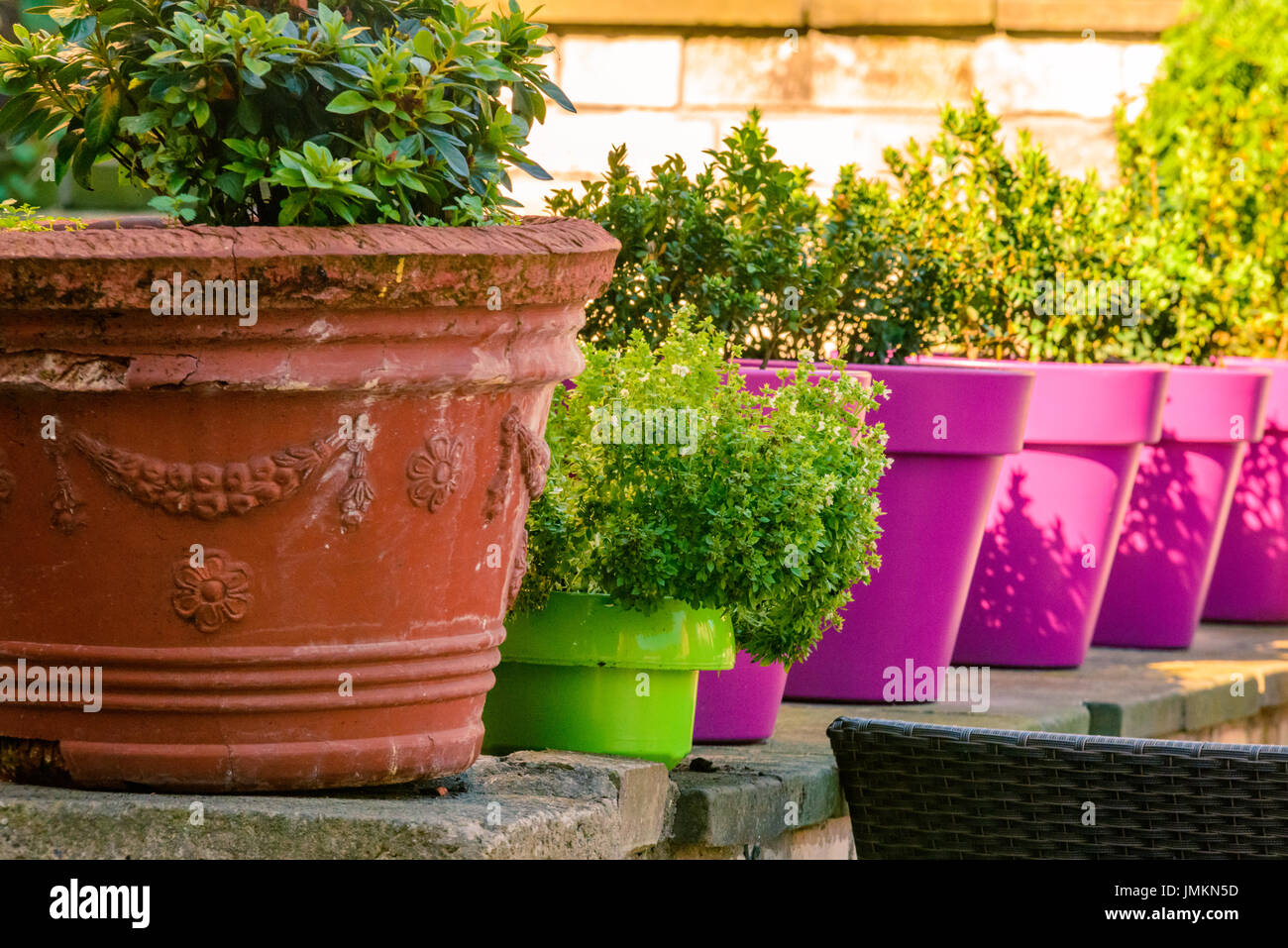 Row pots garden square hi-res stock photography and images - Alamy