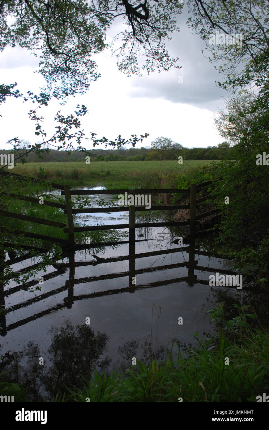 Wooden fencing bisecting pond with trees either side Stock Photo - Alamy