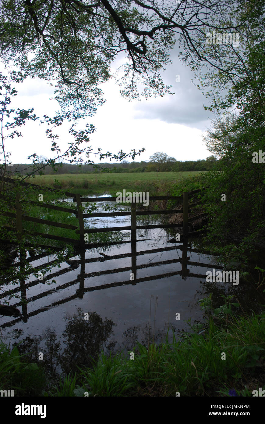 Wooden fencing bisecting pond with trees either side Stock Photo - Alamy