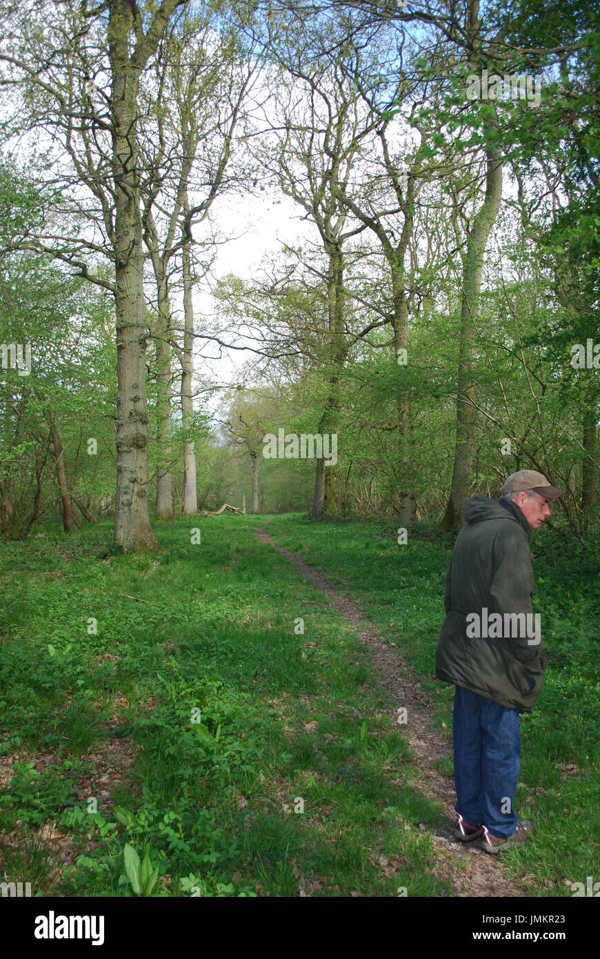 Man stood on path in wood looking off to the right Stock Photo - Alamy