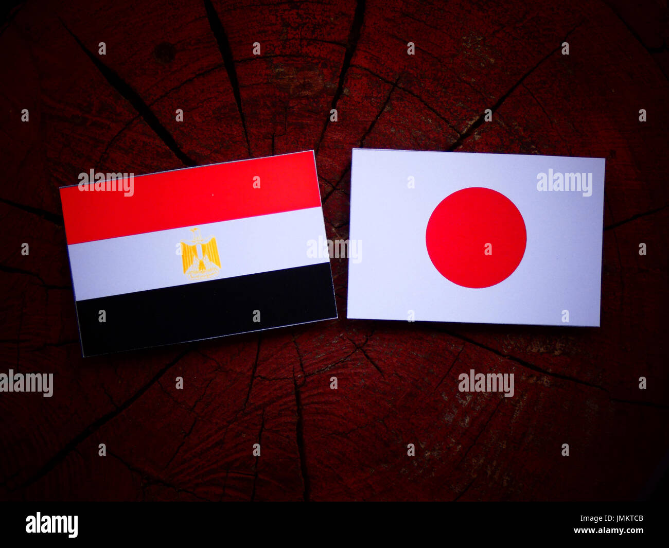 Egyptian flag with Japanese flag on a tree stump isolated Stock Photo ...