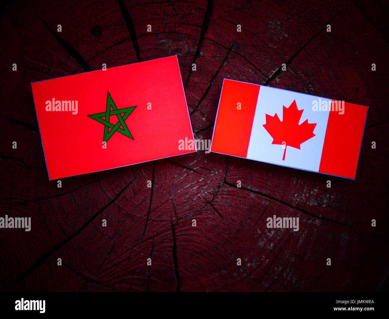 Moroccan flag with Canadian flag on a tree stump isolated Stock Photo ...
