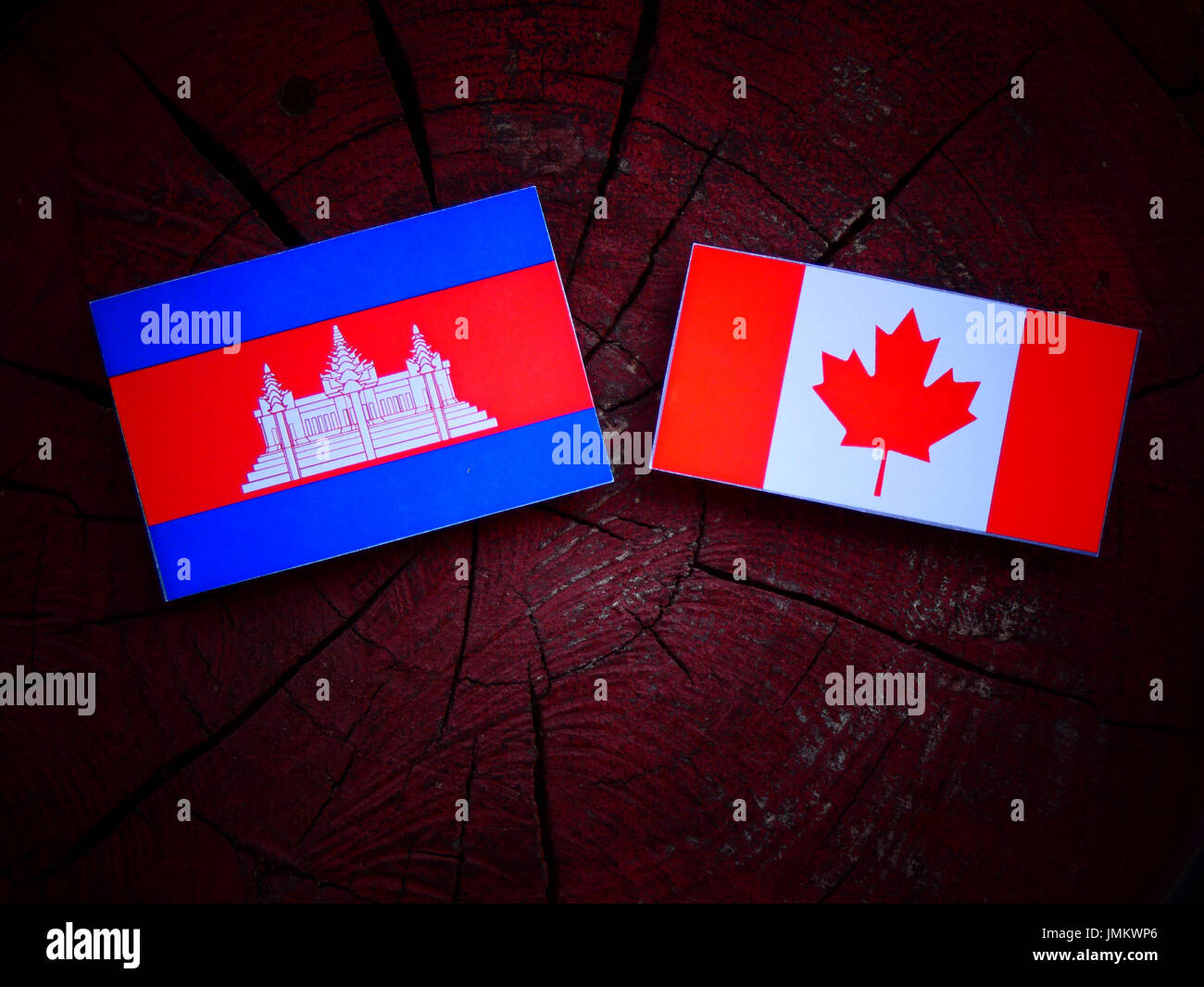Cambodian flag with Canadian flag on a tree stump isolated Stock Photo ...