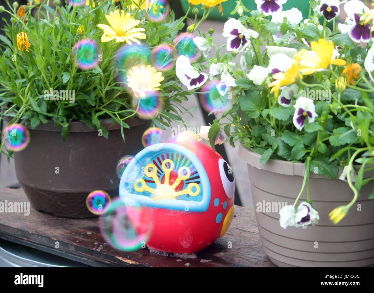 A bubble making machine sits between two pots with flowers on a rainy ...