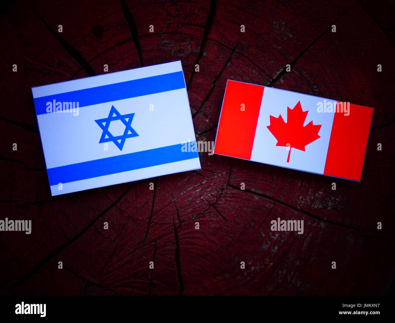 Israeli flag with Canadian flag on a tree stump isolated Stock Photo ...
