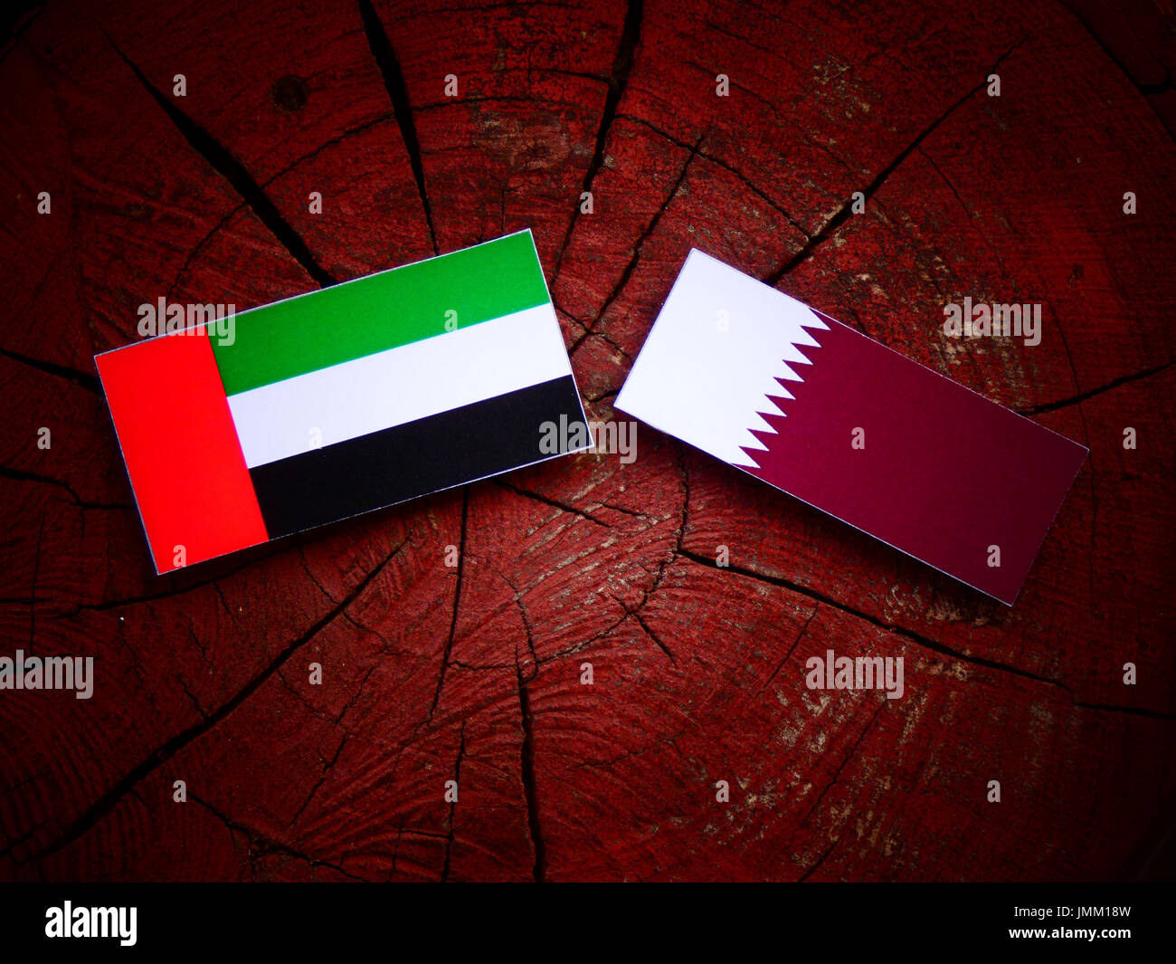 United Arab Emirates flag with Qatari flag on a tree stump isolated ...