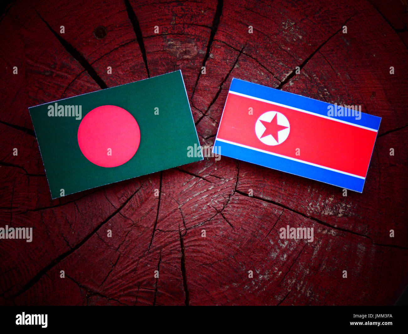 Bangladesh flag with North Korean flag on a tree stump isolated Stock ...