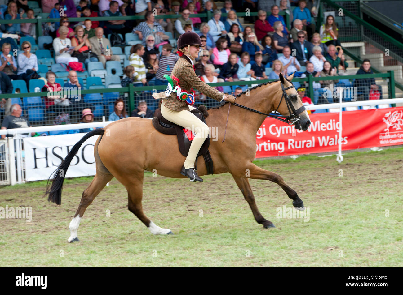 Abigail kind hi-res stock photography and images - Alamy