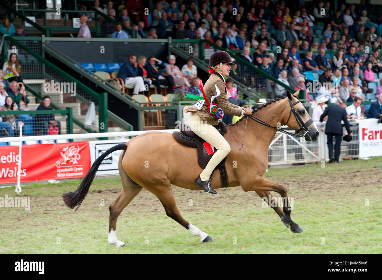 Abigail kind hi-res stock photography and images - Alamy