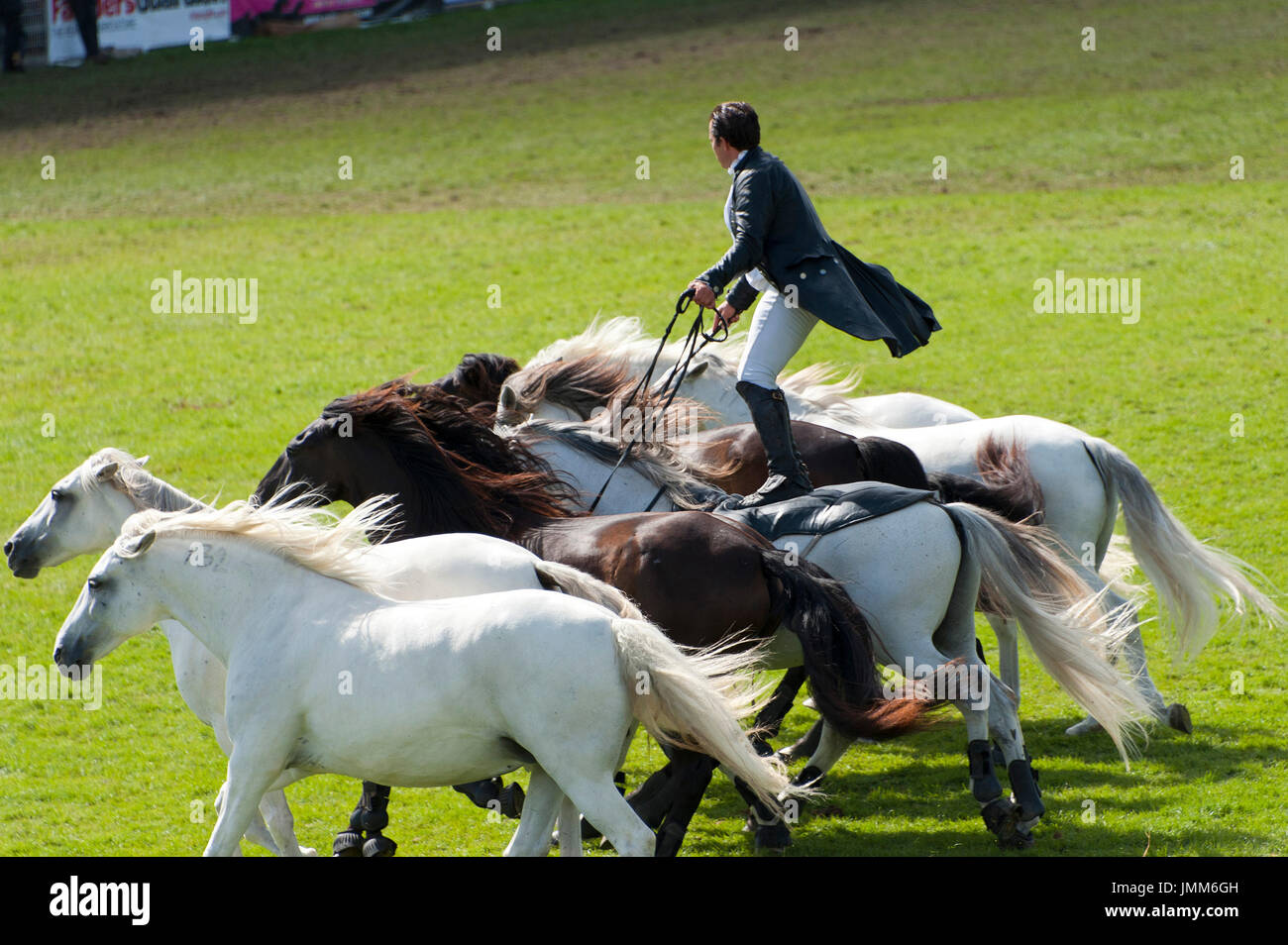 Llanelwedd, Powys, UK. 27th July, 2017. The Lorenzo Horse Show takes ...
