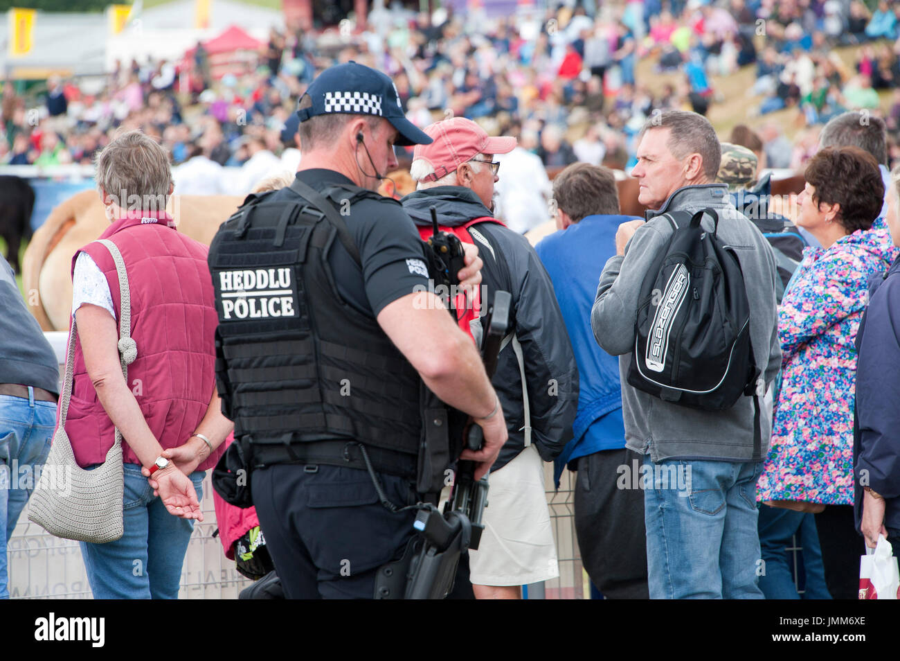 Welsh armed police hi-res stock photography and images - Alamy