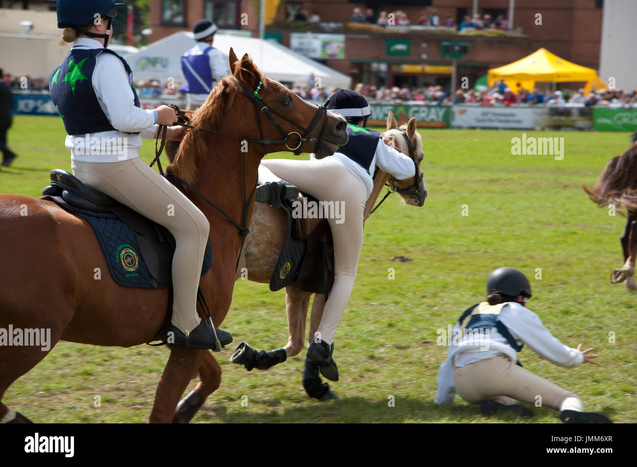 Ever given horse hi-res stock photography and images - Alamy