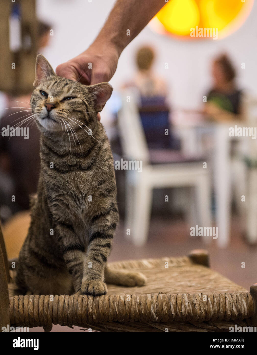 Hearts content hi-res stock photography and images - Alamy