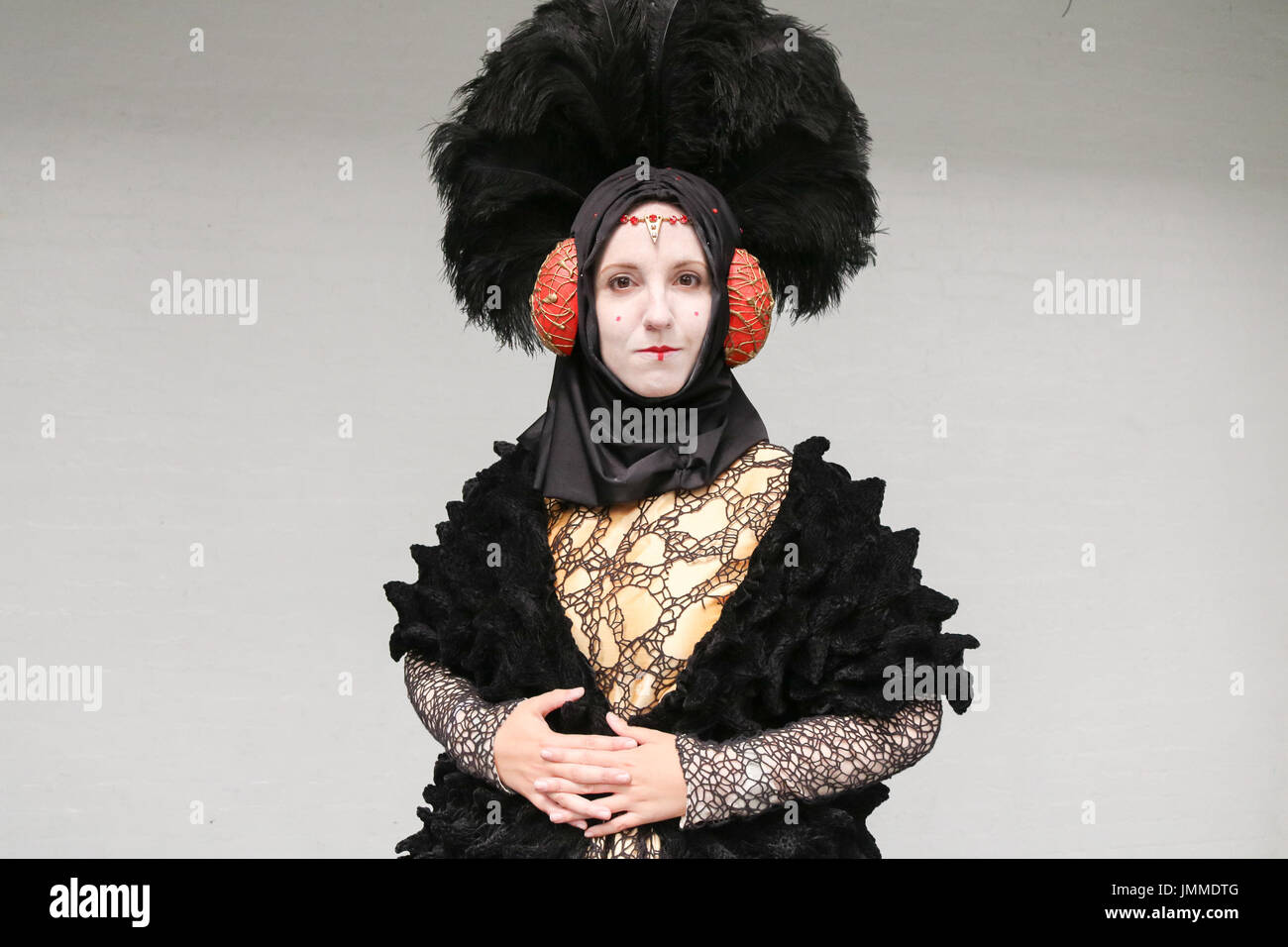 Queen Amidala Wig