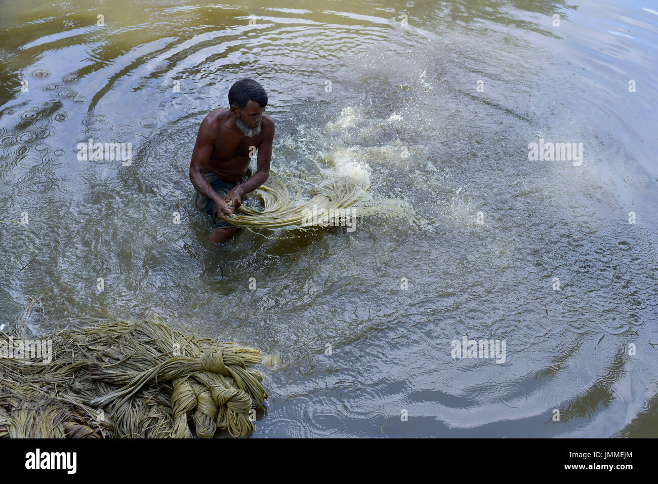 Dhaka, Bangladesh. 28th July, 2017. A Bangladeshi farmer wash jute fiber in a pond after ...