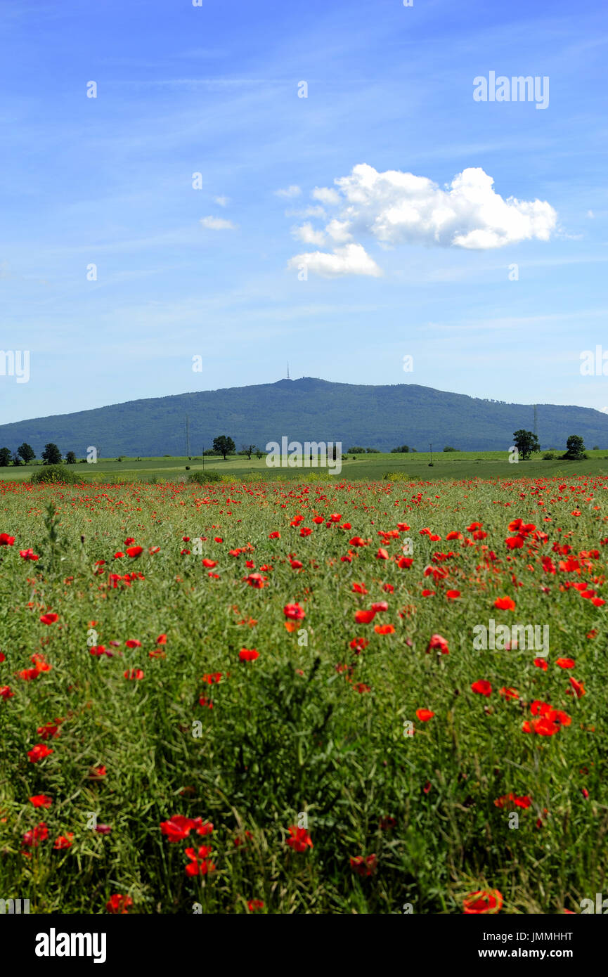sleza, mountain, dolny slask, lower silesia, poland, sobotka, polska ...