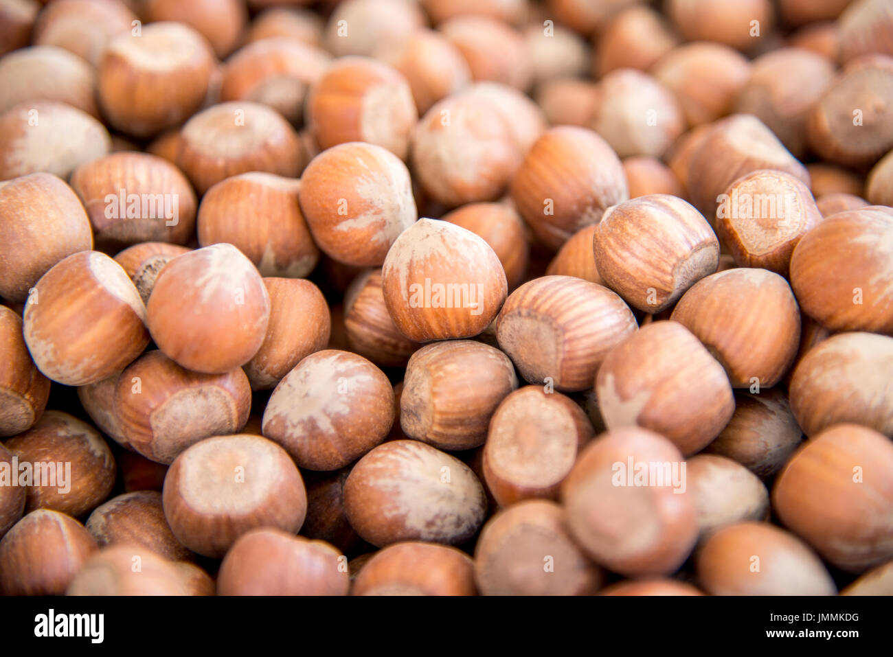 Close up on Pile of hazelnut in their shells Stock Photo - Alamy