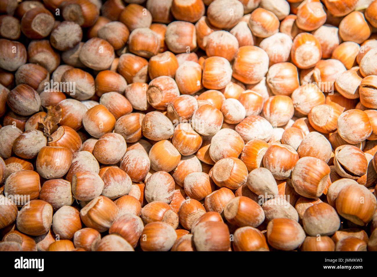 Close up on Pile of hazelnut in their shells Stock Photo - Alamy