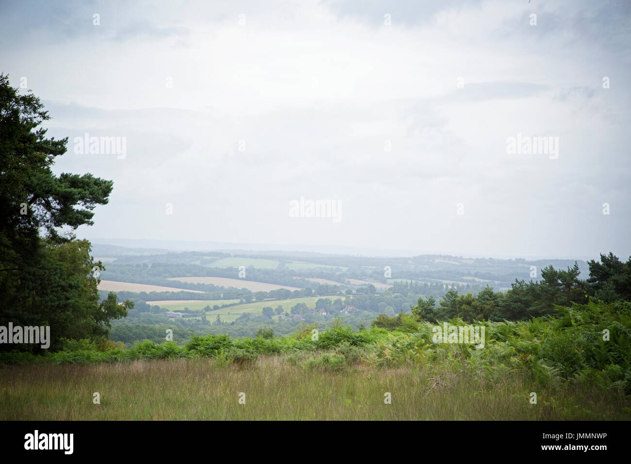 Ashdown Forest, West Sussex, UK Stock Photo - Alamy