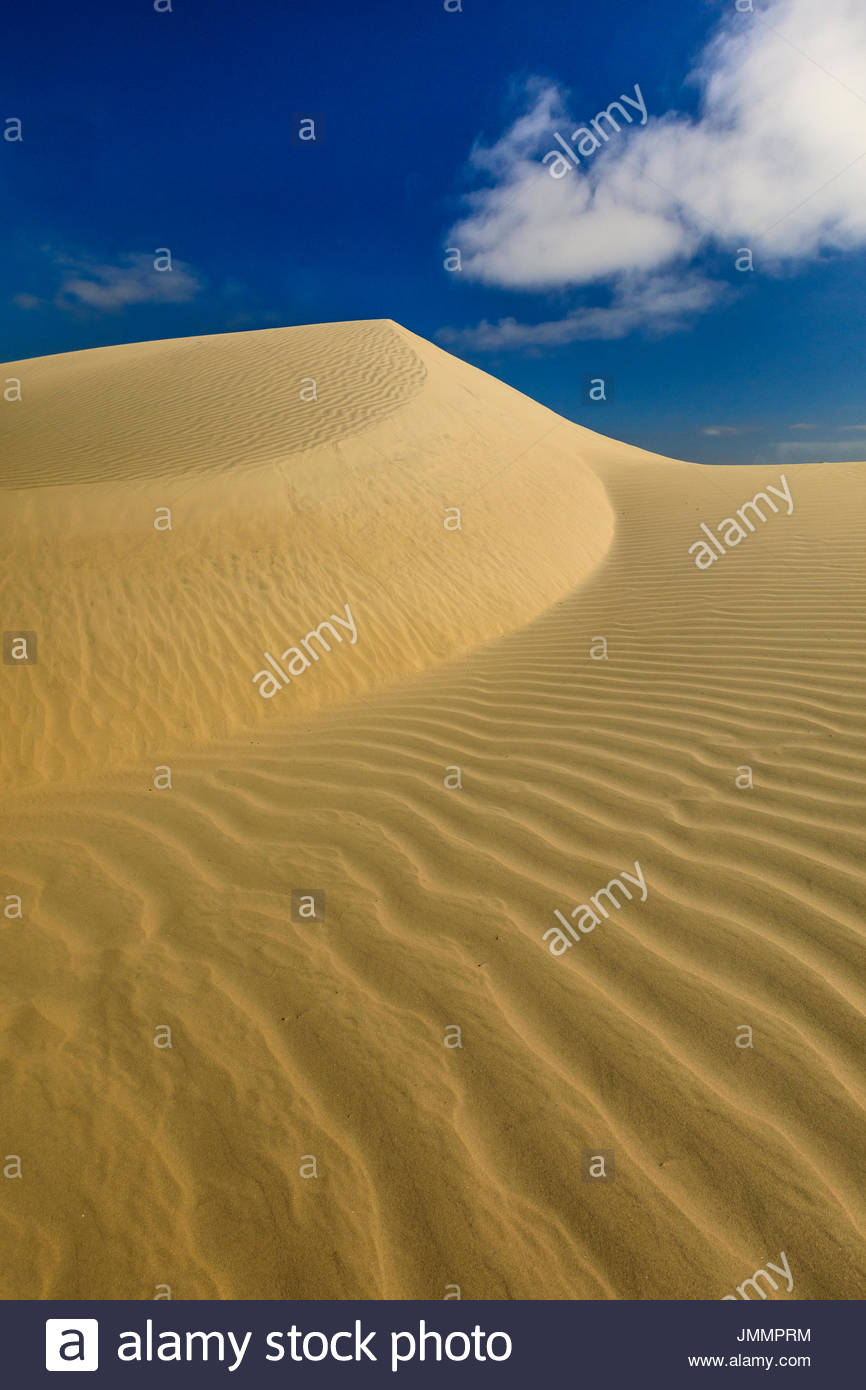 Wind ripples hi-res stock photography and images - Alamy