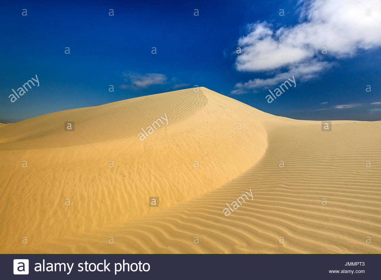 Wind ripples hi-res stock photography and images - Alamy